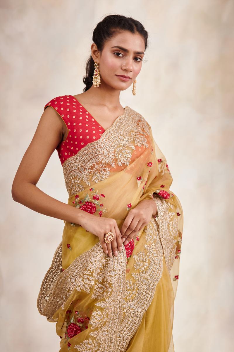 Yellow Tissue Organza Saree Frontier Raas